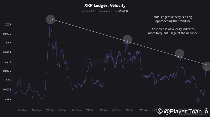 “XRP Ledger: Golden Signal for a Major Breakout – Opportunit | Mathdev ...