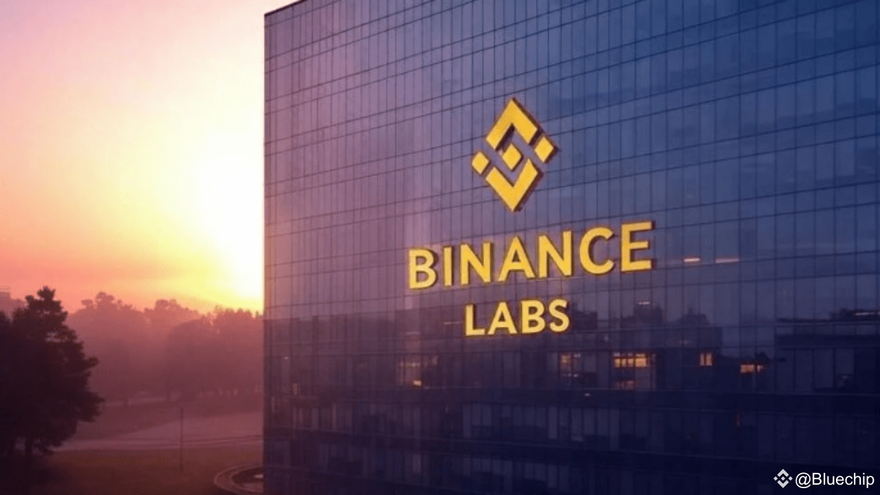 Binance Labs to Rebrand in 2025: Changpeng Zhao to Return to Lead Investments | Bluechip on ...