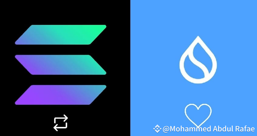Which #altcoin will be the best performer in Q1 2025? 🔥 $S | Mohammed ...