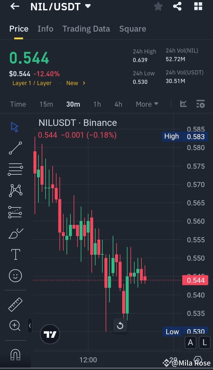 $NIL /USDT Strong Dip Momentum ..!🔥💯 Ready to Catch the | Mila Rose on Binance Square