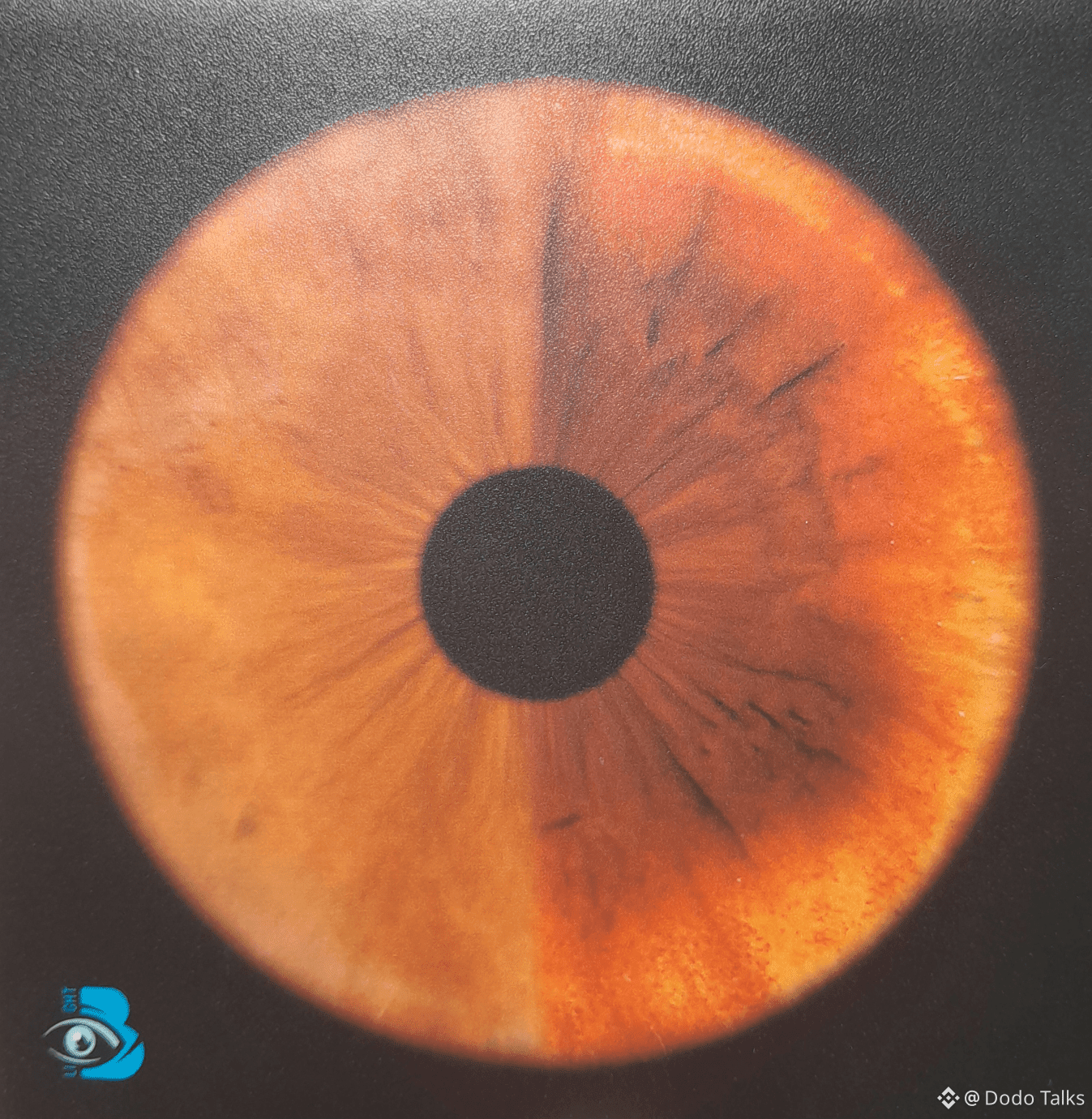 Every time I look into your eyes, I forget everything around | Dodo ...