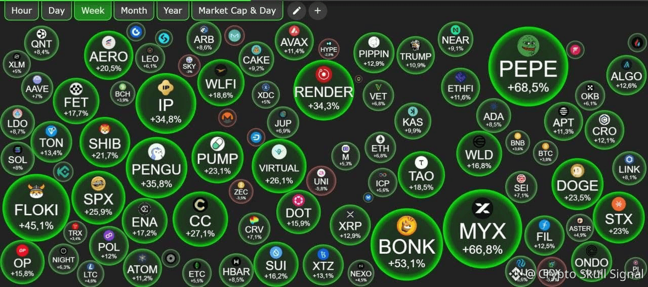 Memes coin all green 💚 | Crypto Skull Signal on Binance Square