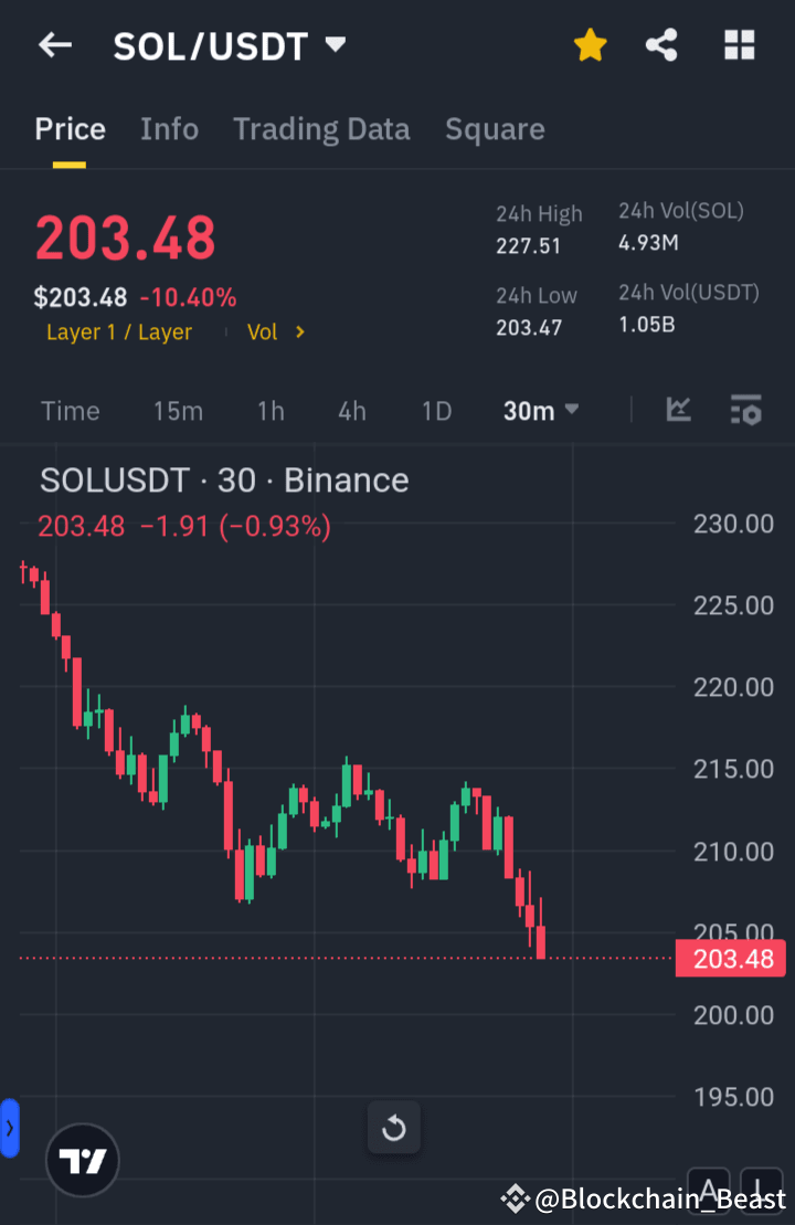 $SOL /USDT Short Trade Signal!🔥💯 ⚠️ Hurry Up! Take Profit | Blockchain_Beast on Binance Square