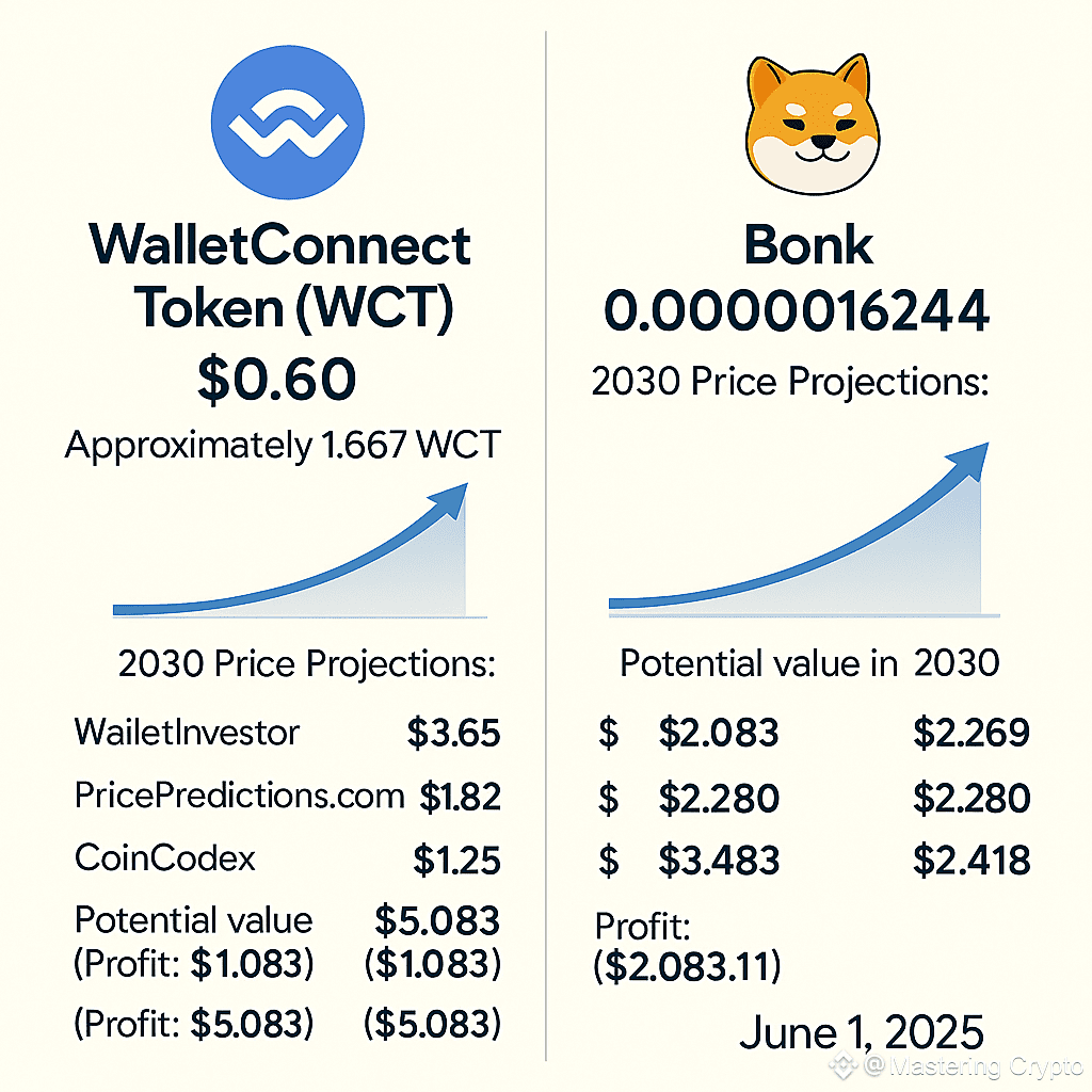What If You Invested $1000 in $WCT and $BONK Today and Compl ...