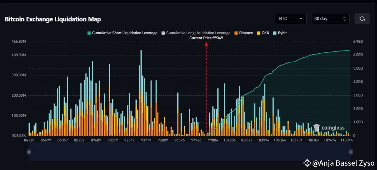 LIQUIDATION ALERT 🚨 🚨 $BTC $4,500,000,000 WORTH OF BTC S | Anja Bassel ...