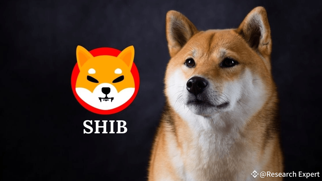 🚀Expert Says Shiba Inu Is Ready To Conquer $0.00008616📈 | Research Expert on Binance Square
