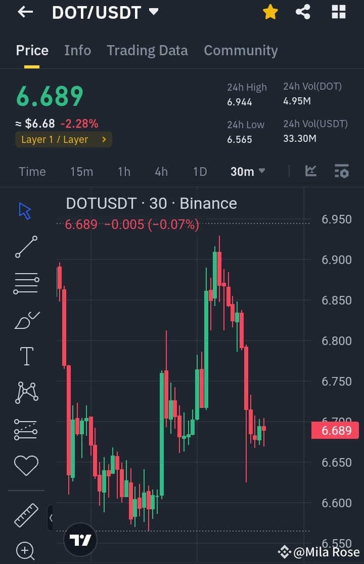 $DOT /USDT Future Outlook for 2025💯💥🎊 As we move into | Mila Rose on Binance Square
