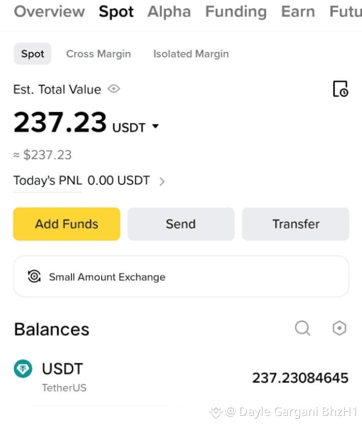 I’ve got $237 ready to deploy — which coin would you | Dayle Gargani ...