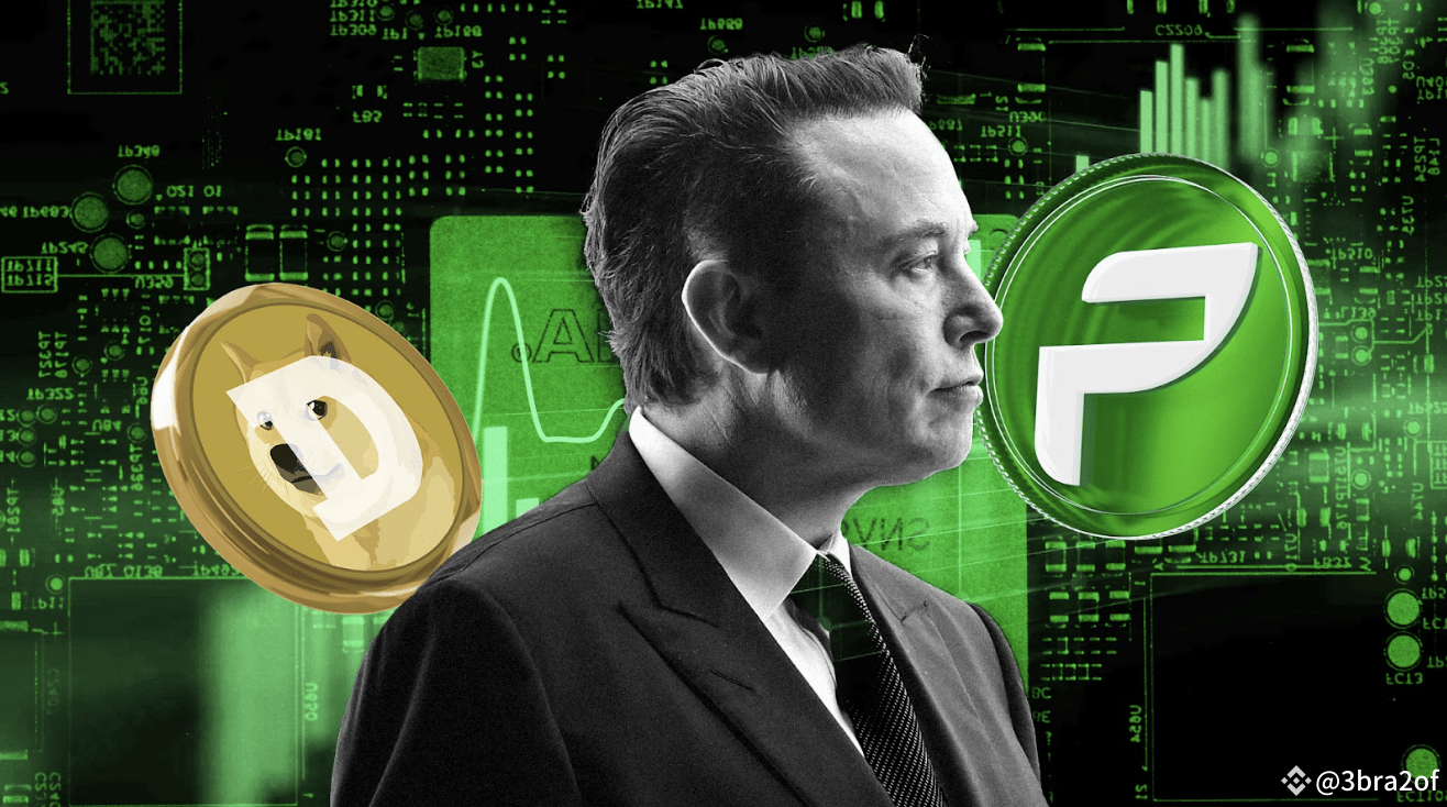 🚀 What If Elon Musk Launched a Coin? Trump Just Broke the M | MRTayea ...