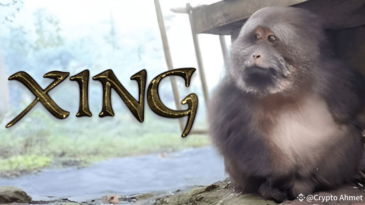 😱🔥XING is the trending meme coin of recent times🦧👀 | Crypto Ahmet on ...