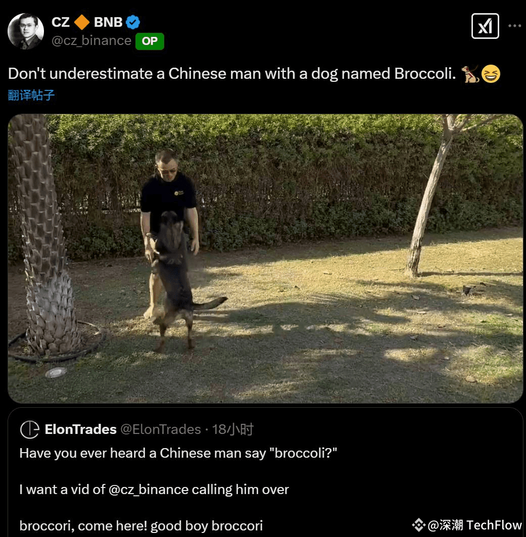 CZ tweeted about his dog Broccoli and attached an interactive video | 深潮 TechFlow on Binance Square