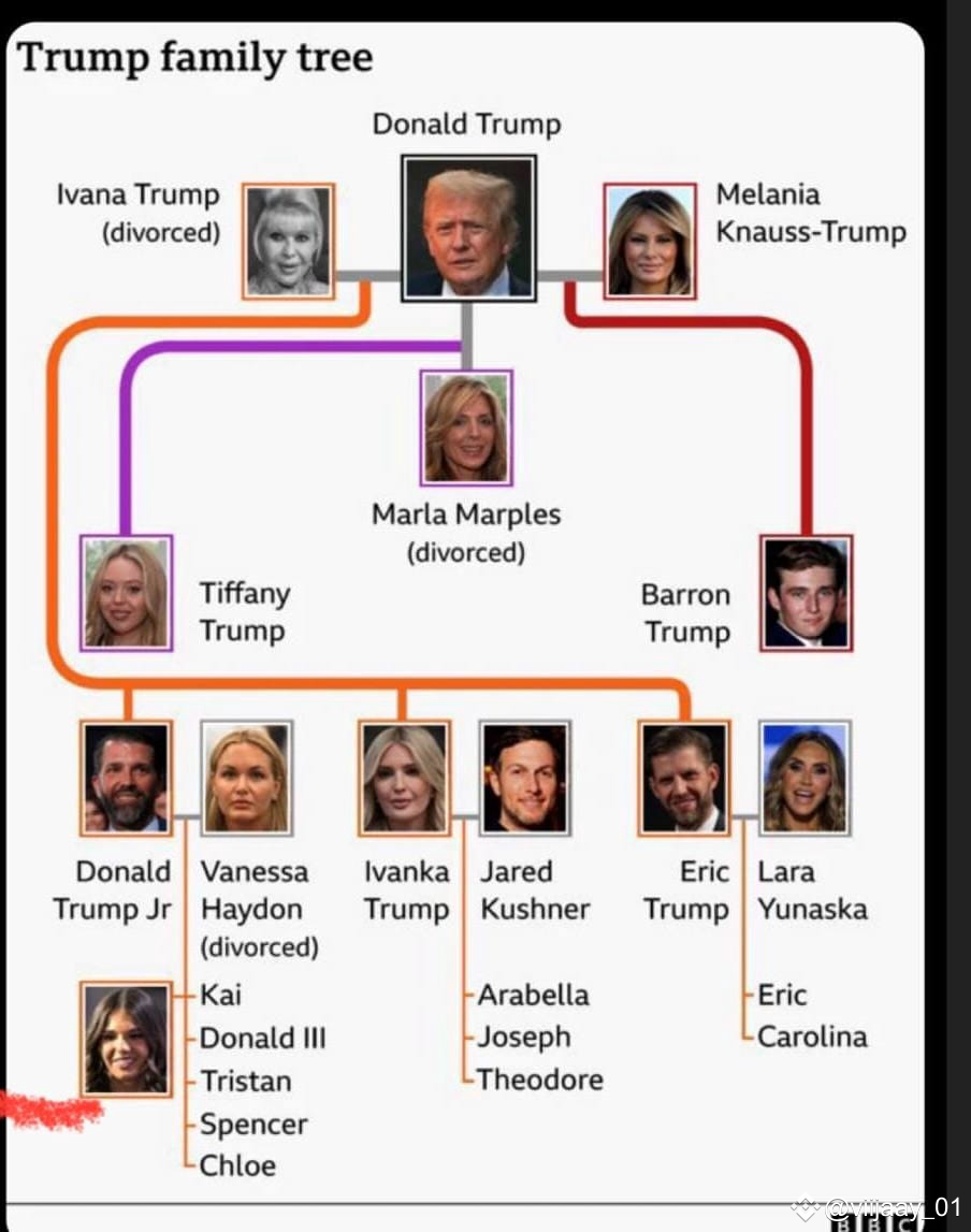 TRUMP FAMILY TREE😂😂 FOR NEXT COIN $TRUMP #TRUMP | viijaay_01 on Binance ...