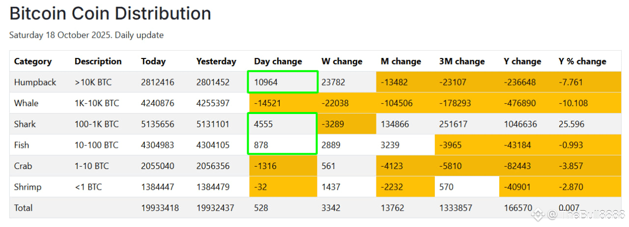📊 On-chain BTC Summary - Updated 18.10.2025 🪙 BTC | TheBull8888 on ...