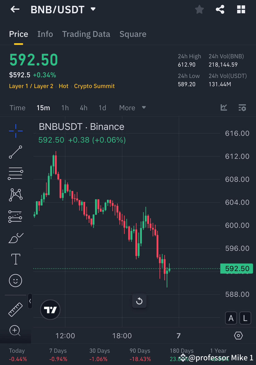 $BNB /USDT Short Trade Alert: Bearish Momentum Building! 💯 | Professor Mike Official on Binance ...