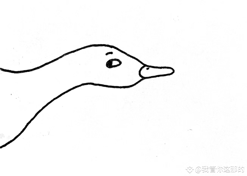 $DOGE Duck head is here. If the nostril is not at 0.32, the | 我管你这那的 on Binance Square