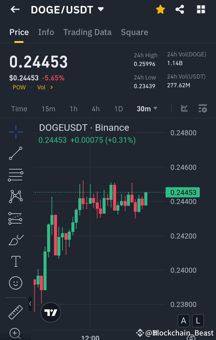 $DOGE /USDT Bull Run Alert! 💰 Current Price: $0.24453 📊 2 | Blockchain_Beast on Binance Square