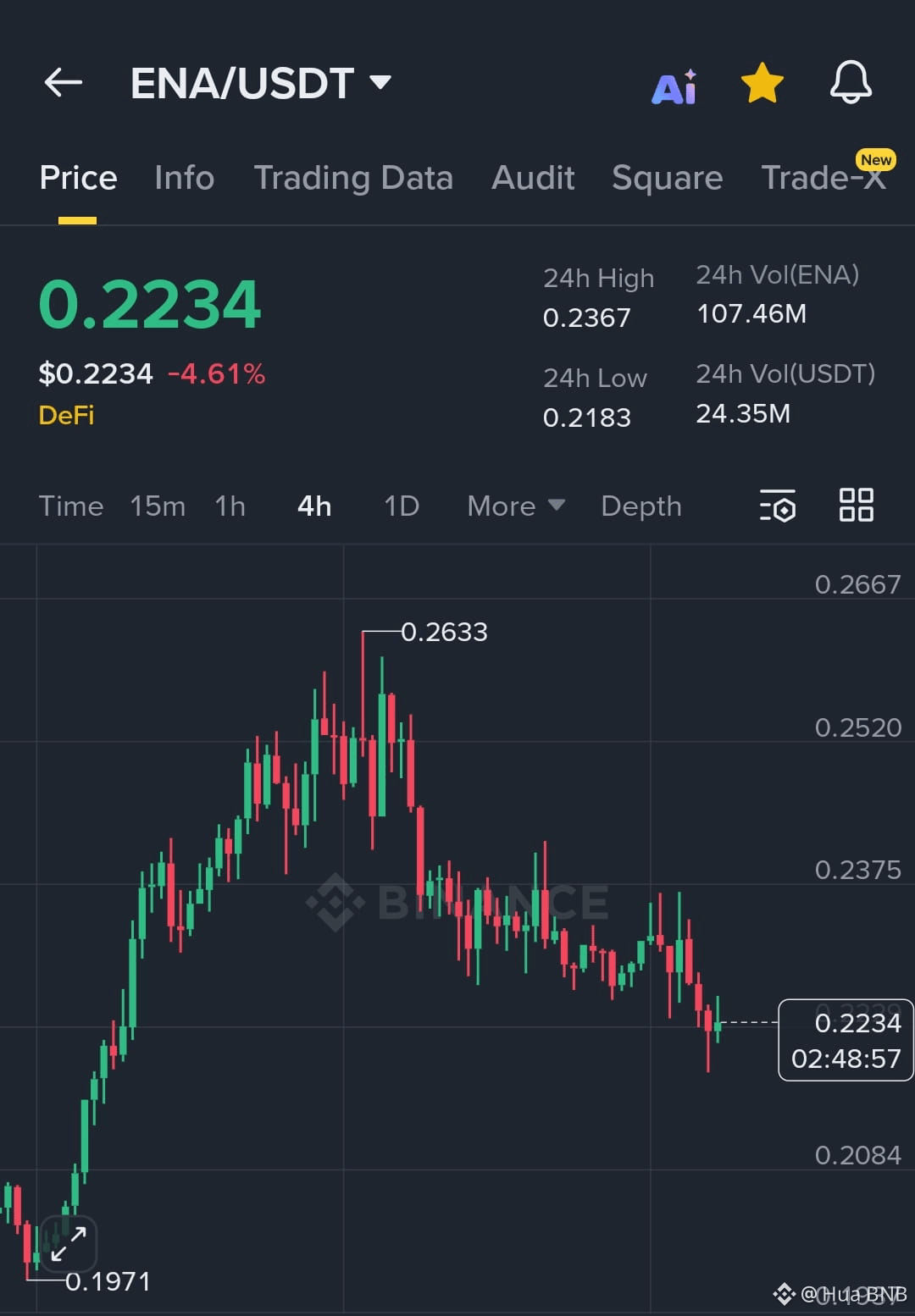 $ENA lovers are you there??? Guys i am watching ENA here | Hua BNB on ...