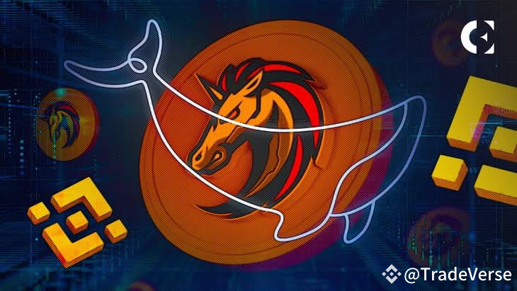 🚀 Will 1inch (1INCH) Skyrocket ? 🤑 ..... Here's Wh | TradeVerse on ...