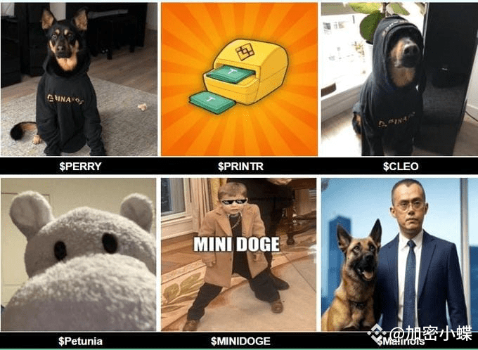 #BSC On-chain Hot Narrative 2.13 1. $PERRY @perrybinance Bi | 加密小蝶 on ...