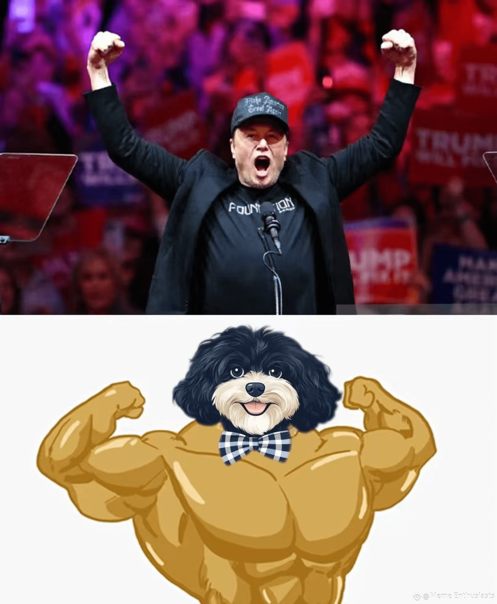 Old investors all know that the 'Big Golden Dog' specificall | Lil E on ...
