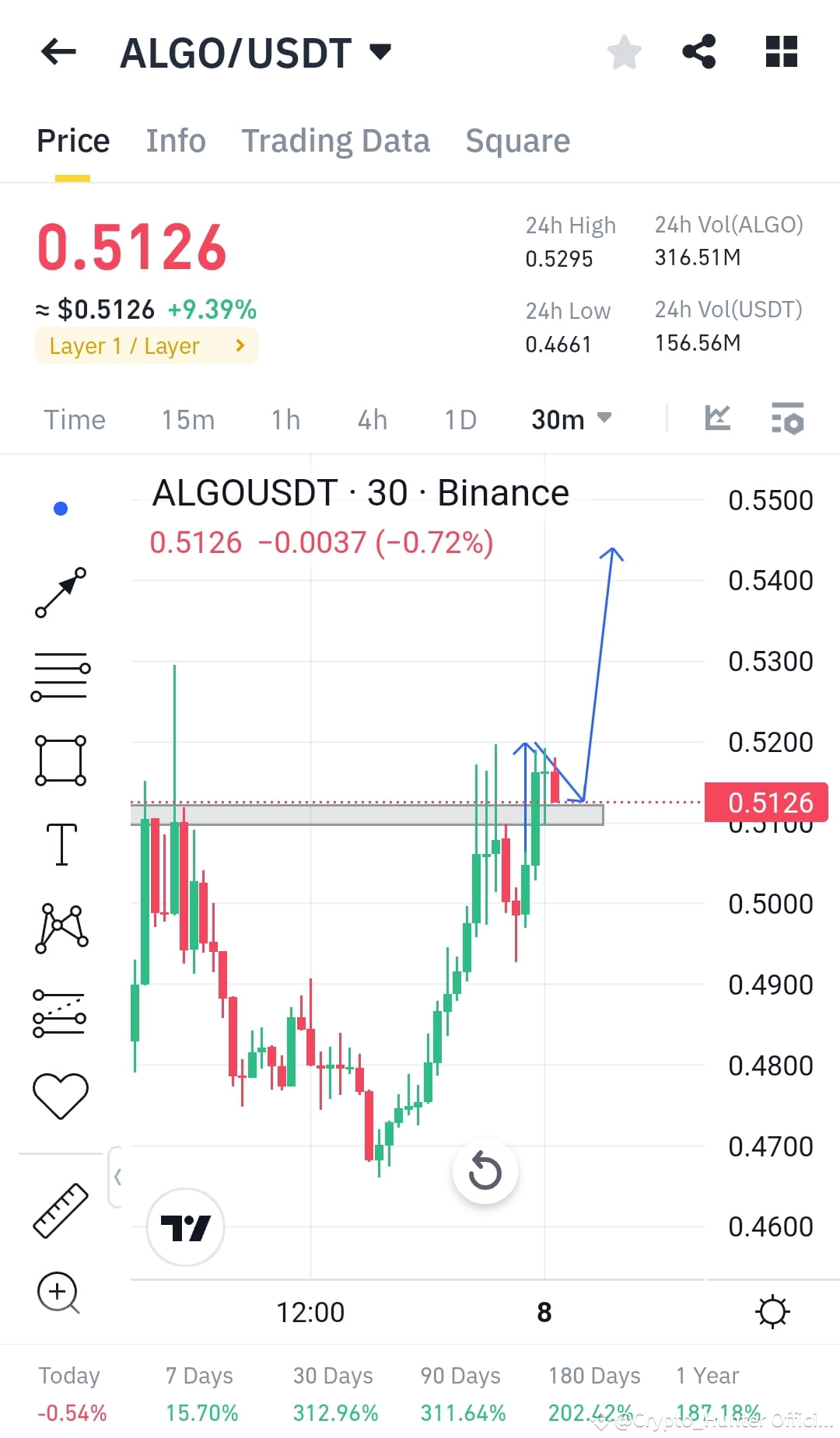 $ALGO /USDT: A Bullish Algorithm for Success! 📈 Overview 👀 | Crypto_Hunter Official on Binance ...