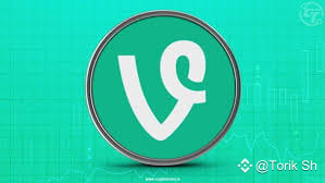 The current price of Vine Coin is $0.25525 per (VINE / USD) | Torik Sh ...