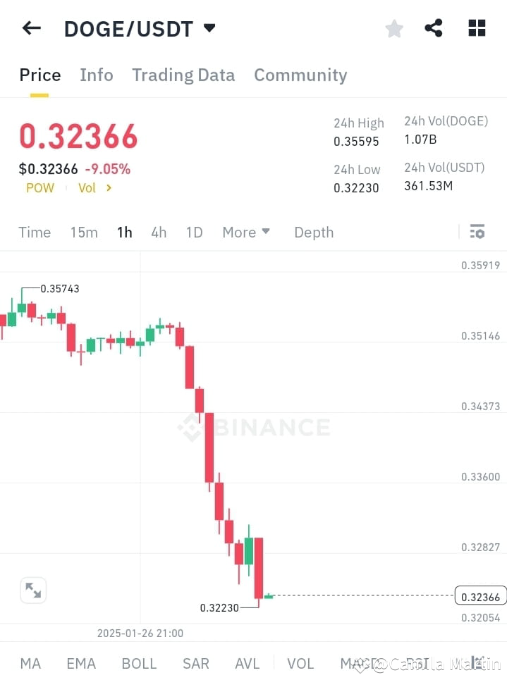 🐾 $DOGE /USDT Market Update – January 26, 2025 🐾 🚀 DOGE | Camila Martin on Binance Square