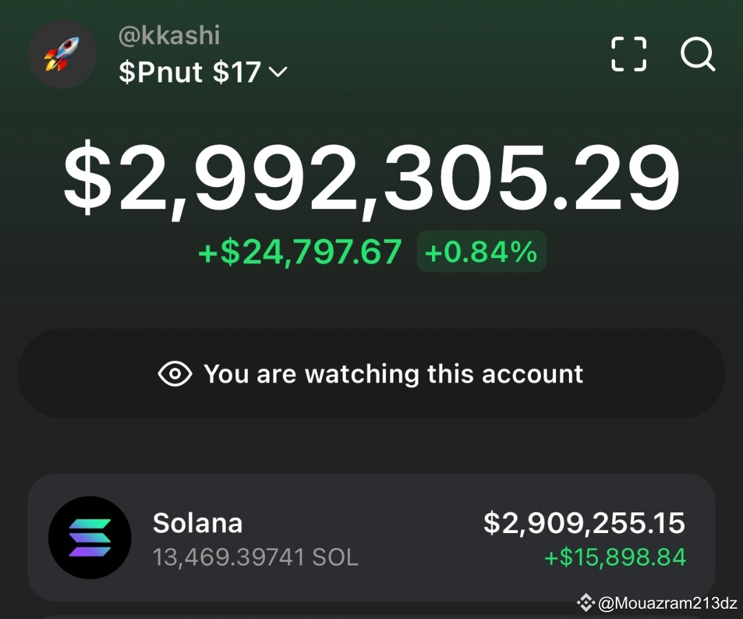 The person who bought $17 worth of Pnut coins has now sold a ...