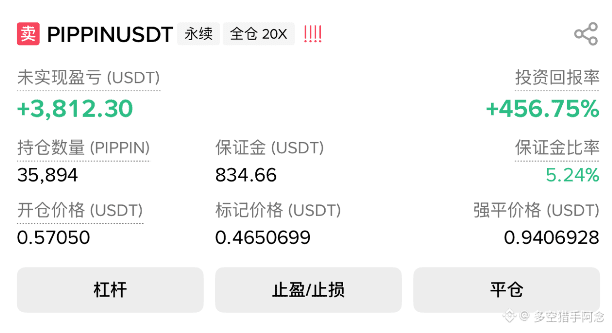 $PIPPIN This so-called "Heaven and Earth Needle" looks like | 多空猎手阿念 on ...