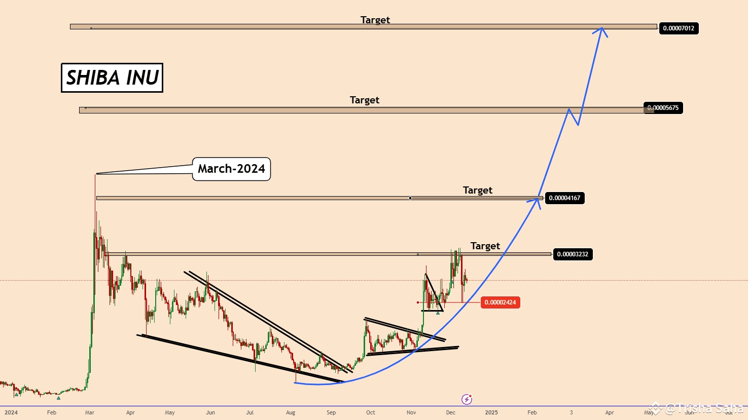 Shiba Inu Seen from Another Perspective🔥🚀 | Trisha Saha on Binance Square
