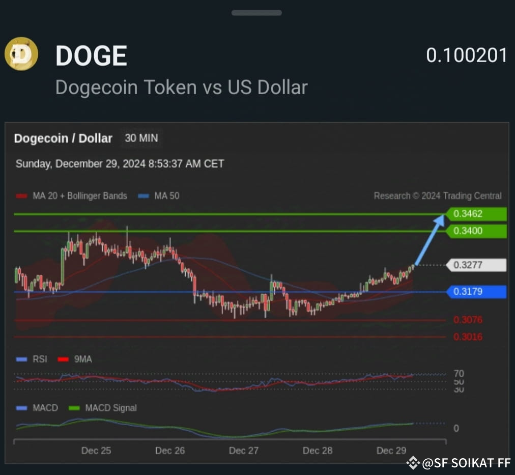 $DOGE BUY = 29/12/2024 📈📈📈 #DOGE | SF SOIKAT FF on Binance Square