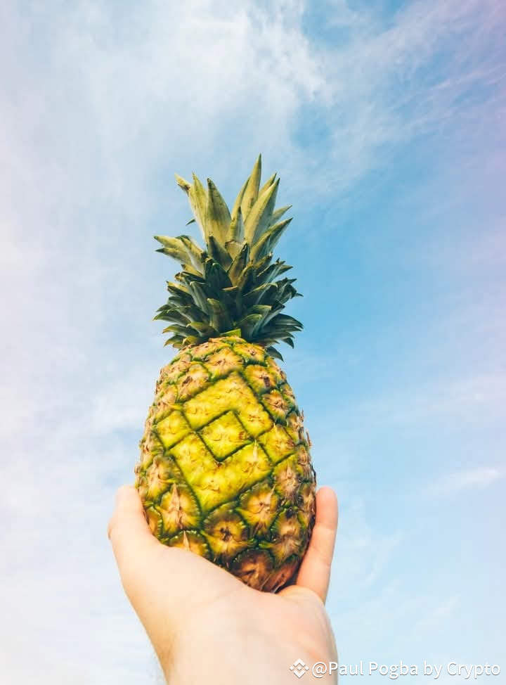 When life gives you pineapples, carve out a Binance logo. $ | Paul Pogba by Crypto on Binance Square