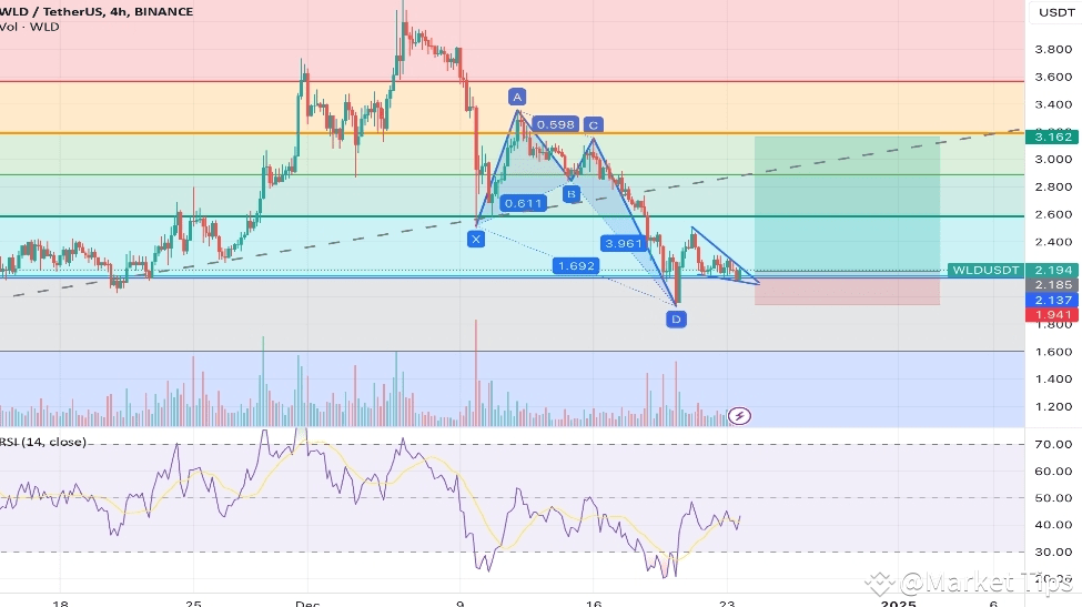 WLD Trade Idea | 4:1 RR | Bullish Crab Pattern + Fib Support 🔍 | H E L ...