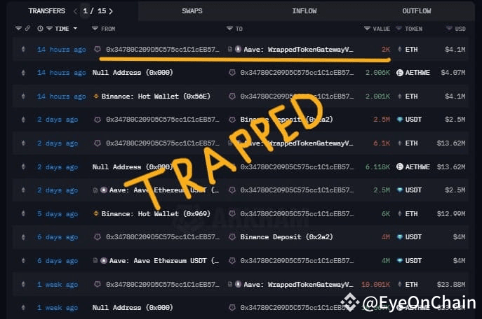 We caught a TRAPPED whale—yes, even whales get stuck! This w ...