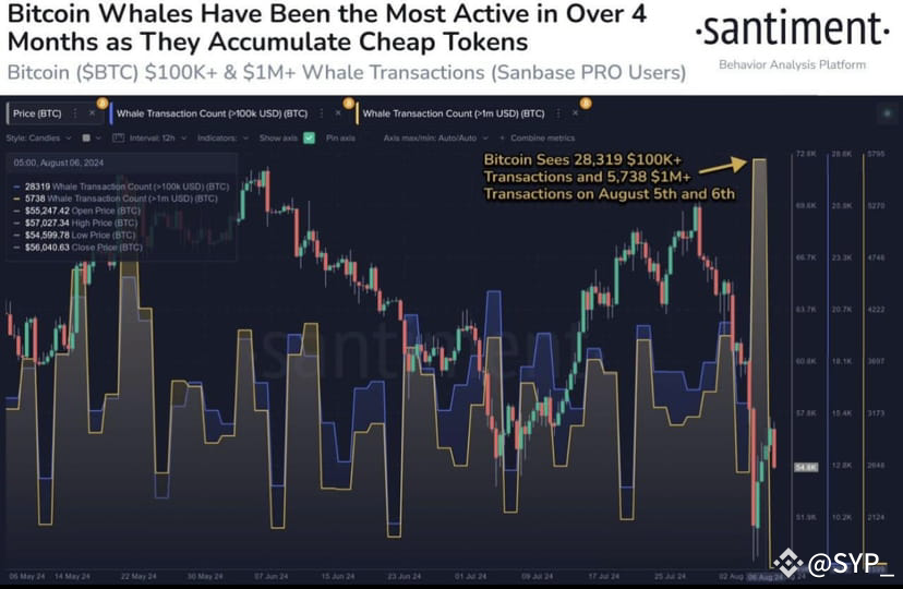 $BTC On August 5 and 6, BTC recorded the highest level of w | SYP_ on ...