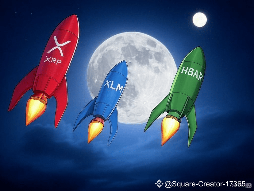 🚨Tax Exempt $XRP $HBAR $XLM | Xmido on Binance Square