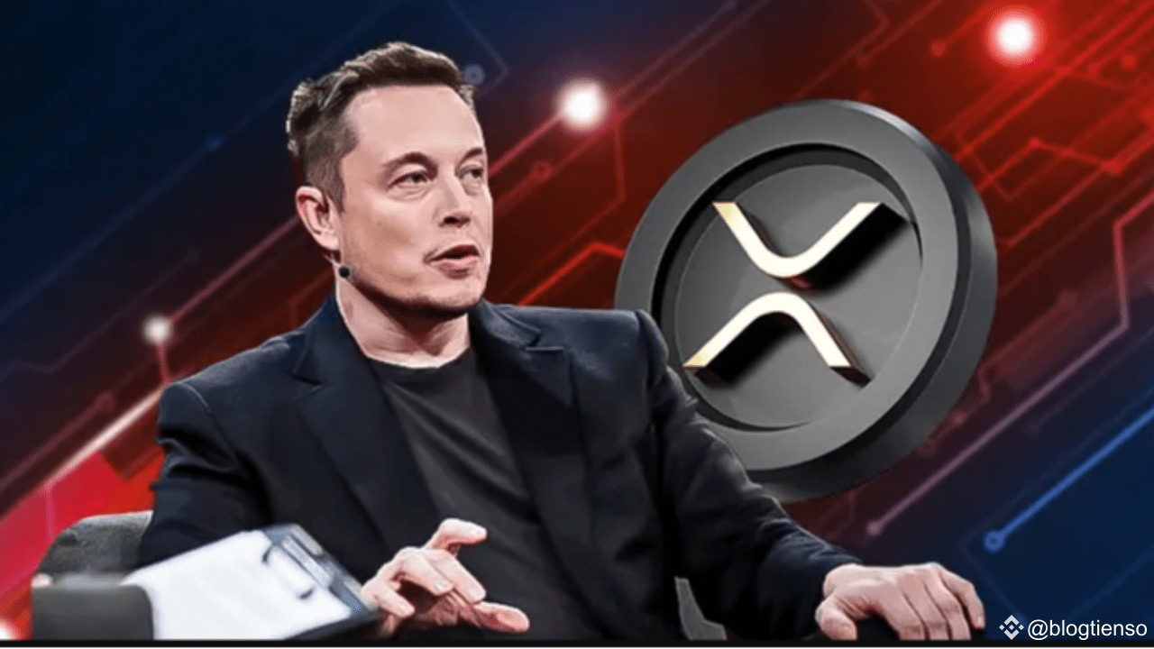 Elon Musk Lively Discusses XRP Verification | blogtienso on Binance Square