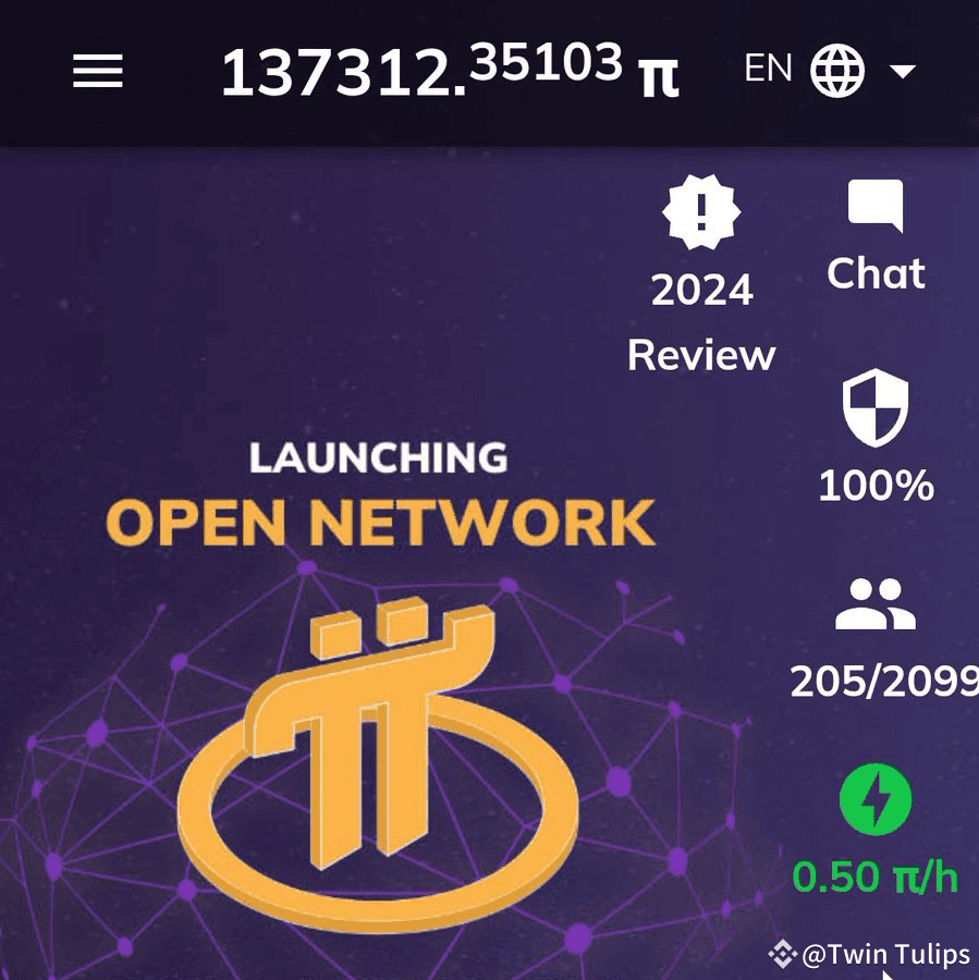 How To Secure Your Mined PI Coins Before Mainnet Launch 🚀 | Twin Tulips в Binance Square