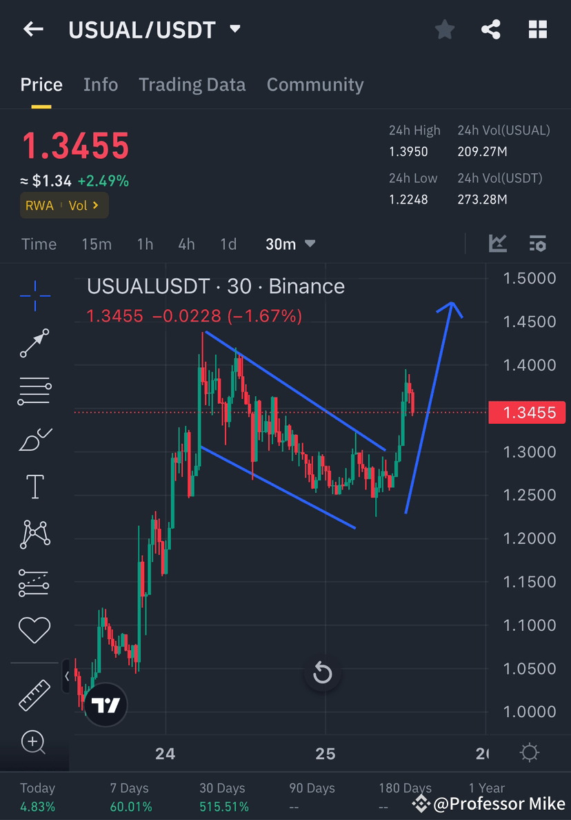 $USUAL /USDT Breakout Alert: Momentum Building! 🔥💯 $USUA | Professor Mike on Binance Square