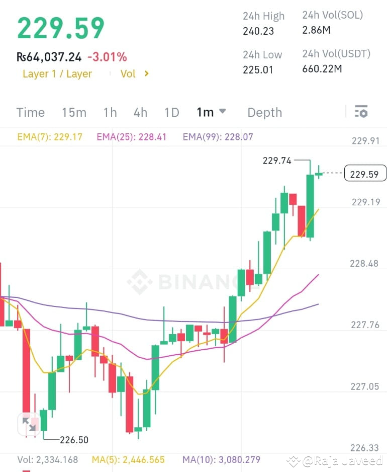 SOL Short Liquidation Alert – Big Move Ahead? A major shor | Raja Javeed on Binance Square
