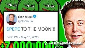Pepe Coin ($PEPE) Rides the Wave of Elon Musk’s Influence 🐸 | Elon ...