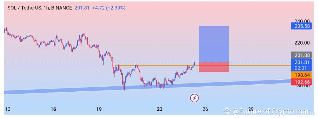SOL USDT LONG ENTRY- 202 - 196 LEVERAGE: 30x 207 214 | Future of Crypto market on Binance Square