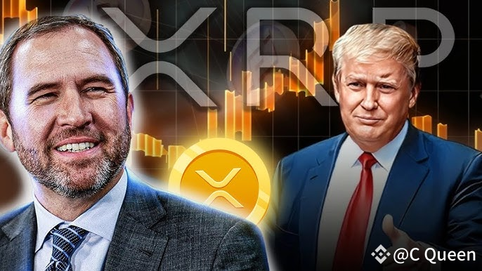 Ripple CEO Reveals Why XRP is Skyrocketing! Shocking Connection to ...