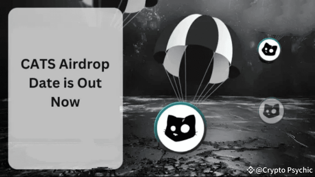 🚀**Cats Airdrop Date Unveiled: Get Ready for the Next Big Thing!** 🐾 ...
