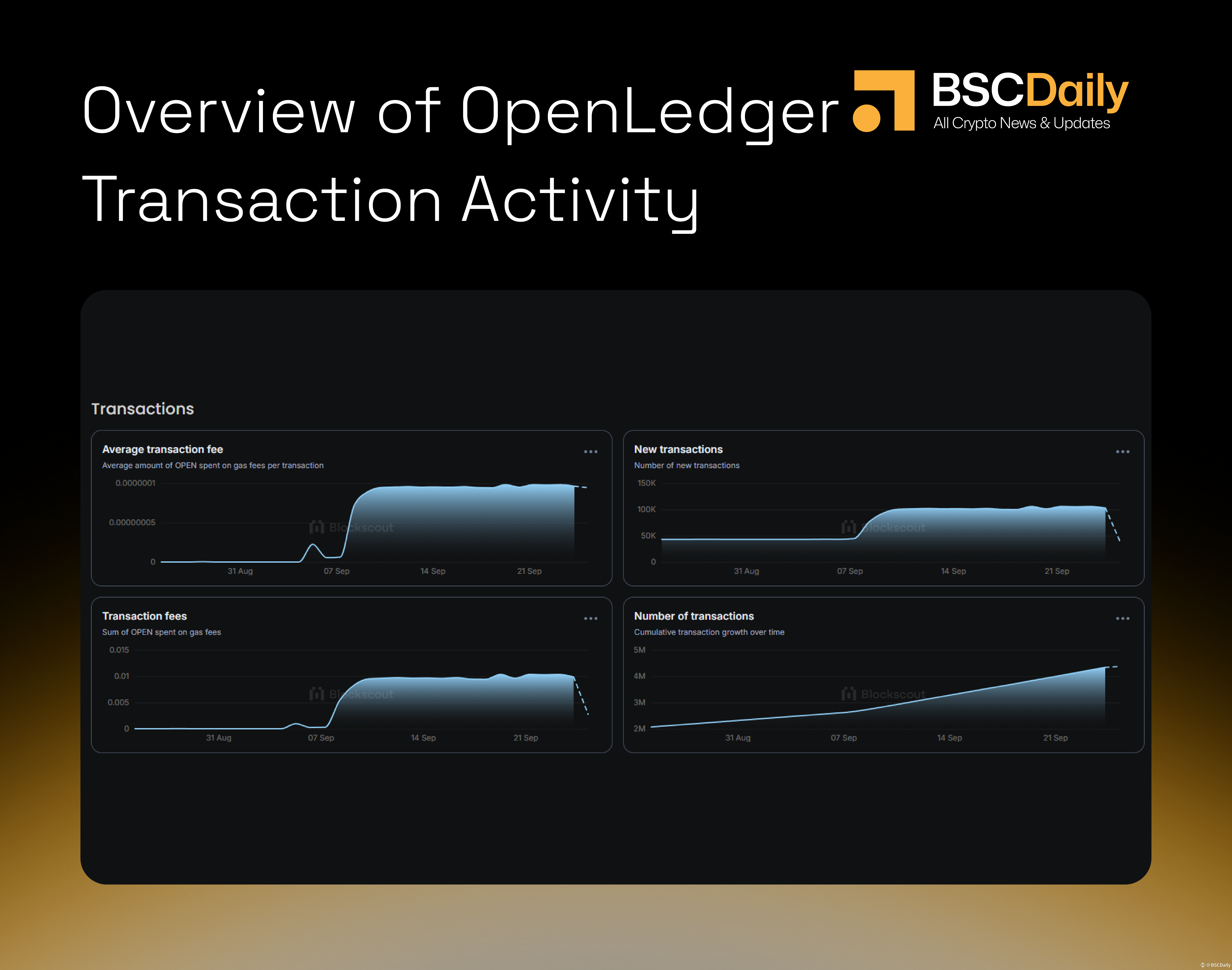📊 Overview of OpenLedger Transaction Activity 🔹Average Co | BSCDaily on ...