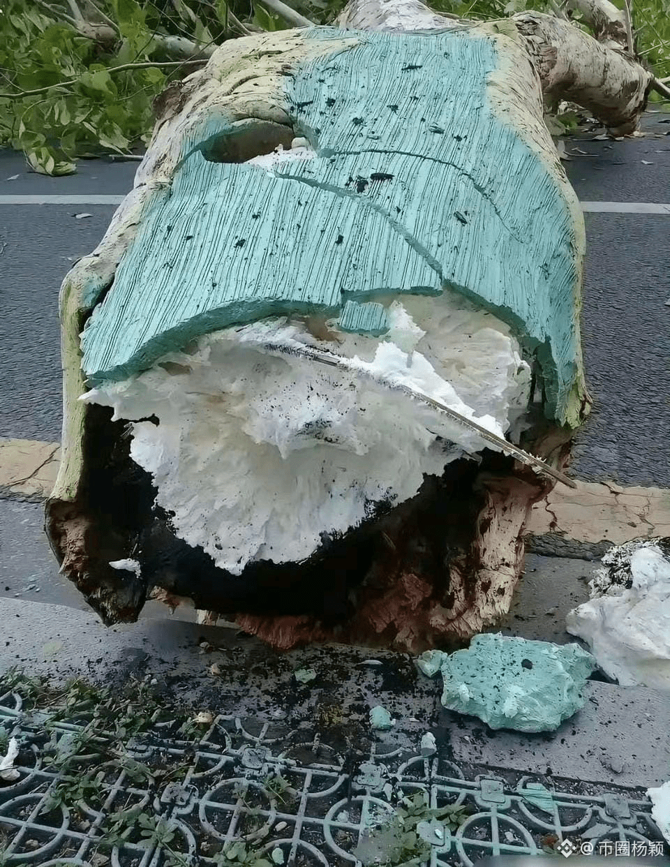 What else is real in this world $BNB $BTC $ETH | 币圈杨颖 on Binance Square