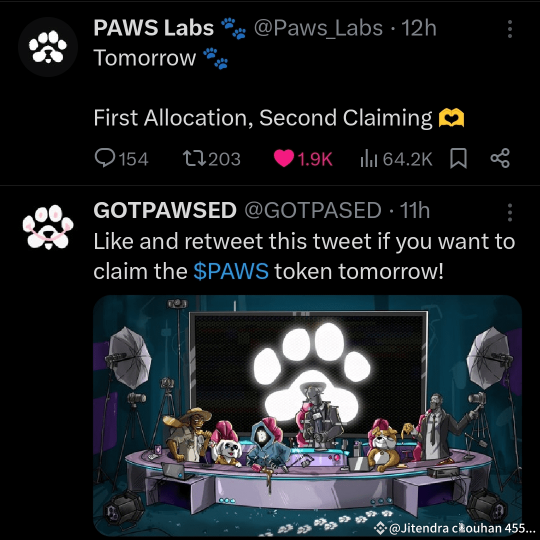 first allocation ready today paws token price comment right | Jitendra ...