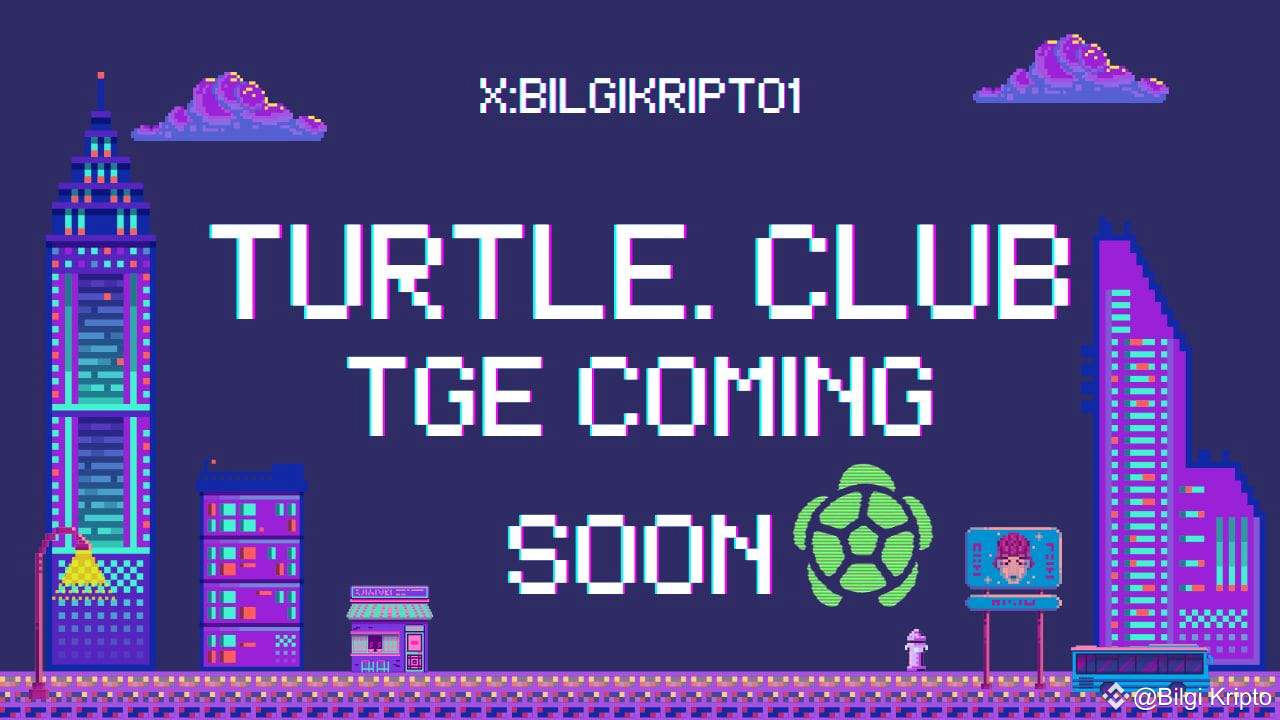Turtle.Club: The Distribution Protocol Revolutionizing the Web3 World ...