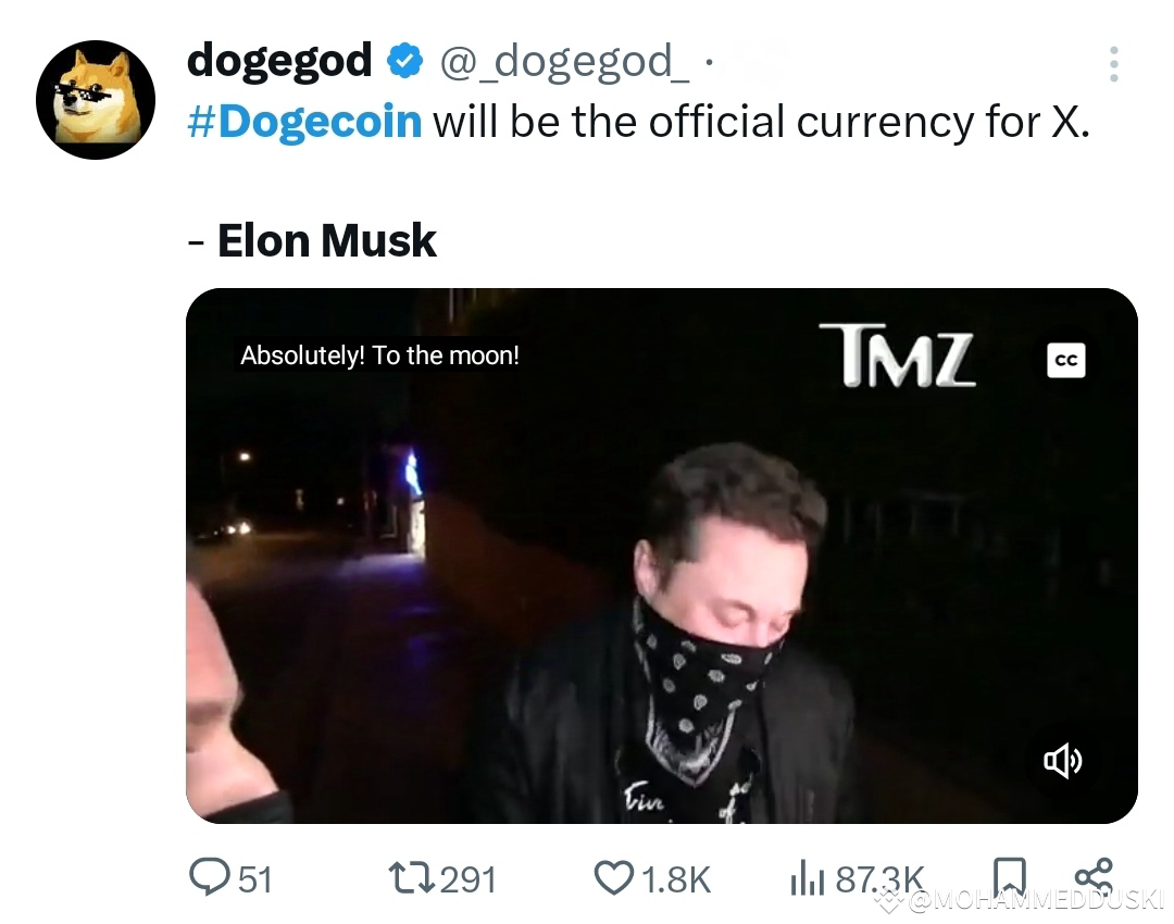 $DOGE Elon Musk Absolutely! To the moon!.Dogecoin will be th | Ali ...