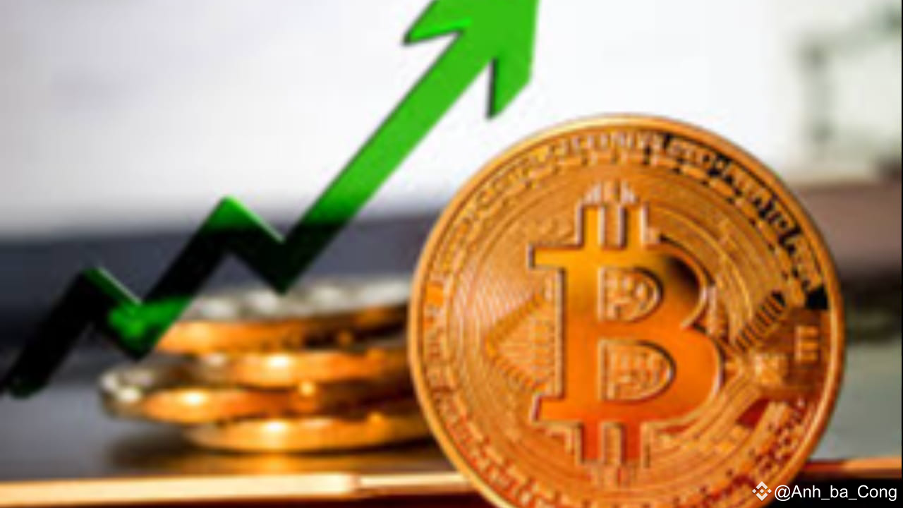 Bitcoin: Risk Asset or Digital Gold? Controversial Perspectives from ...